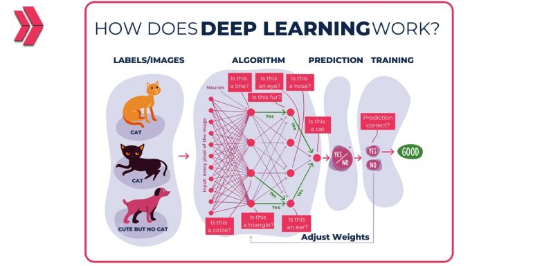 Unlock The Power Of Deep Learning: Top 3 Questions Answered - Clarusway